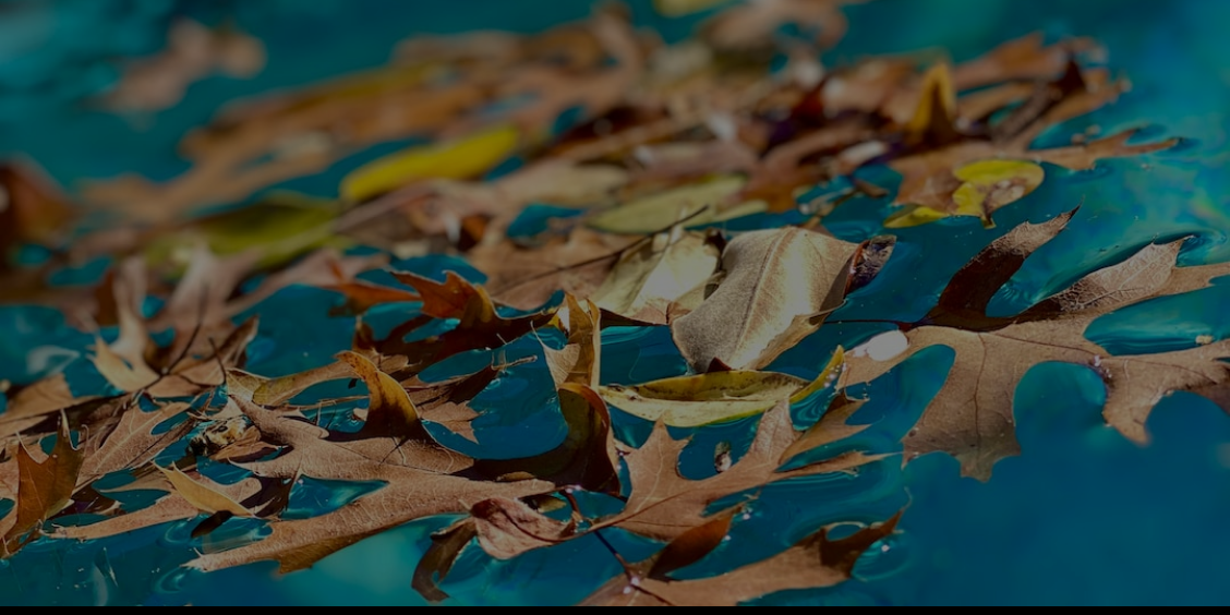 Home - Crystal Pools - Swimming Pools, Hot Tubs, Spas & Service